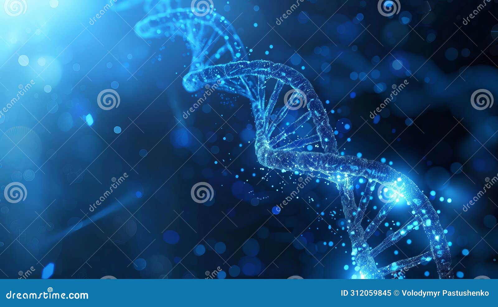 DNA Molecules are the Building Blocks of Life, DNA Molecules are the ...