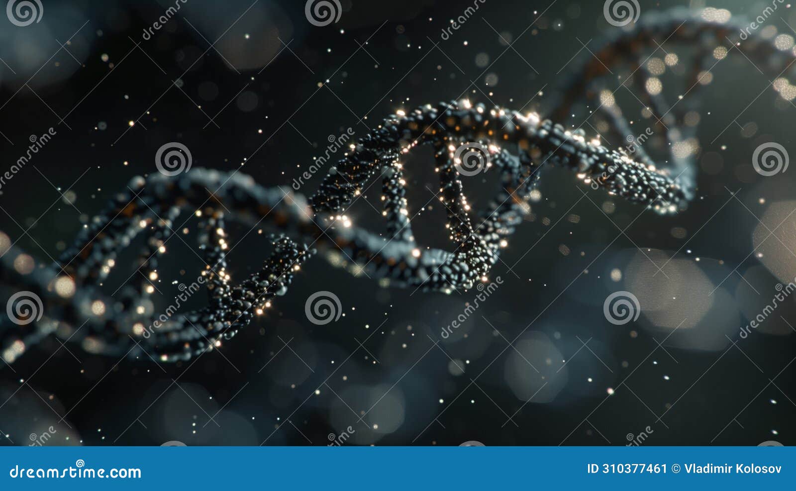 DNA Molecules are Comprised of Two Long Strands that Form a Double ...