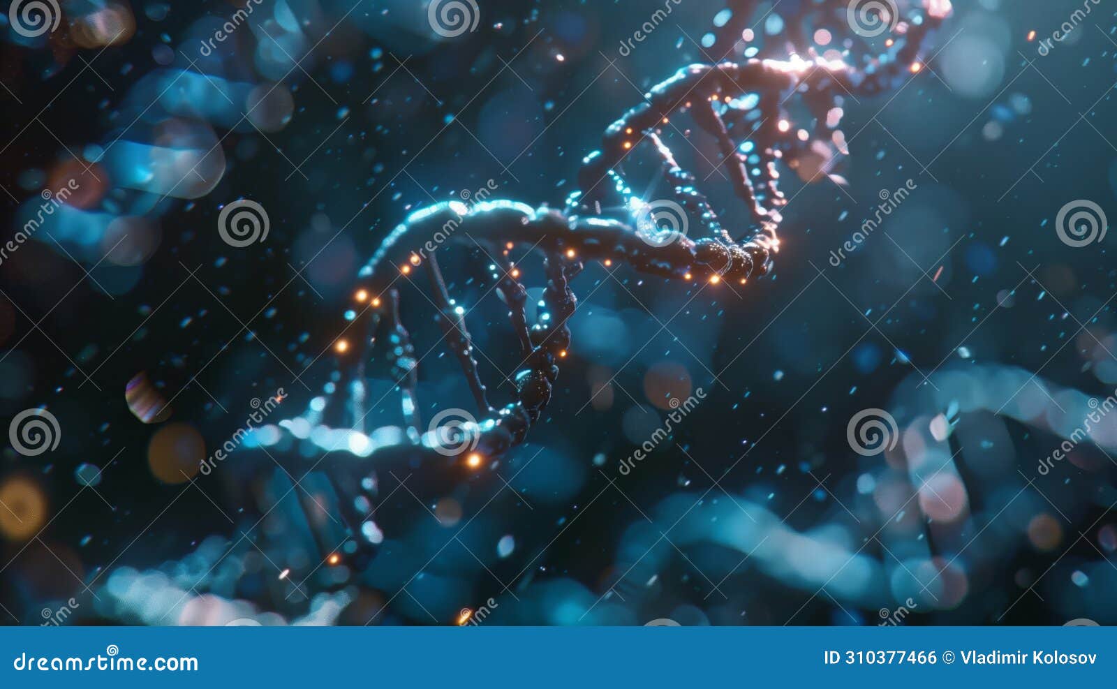 DNA Molecules Contain the Genetic Information Necessary for the ...