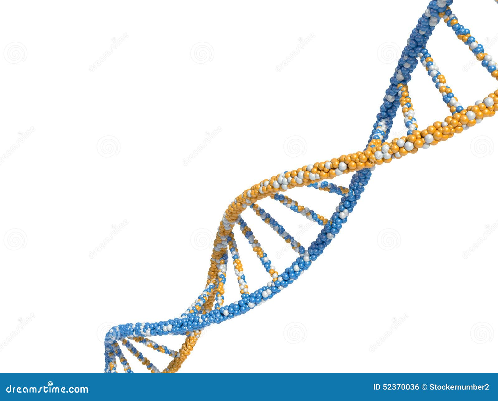 DNA Molecules. 3d Render on White Background Stock Illustration ...