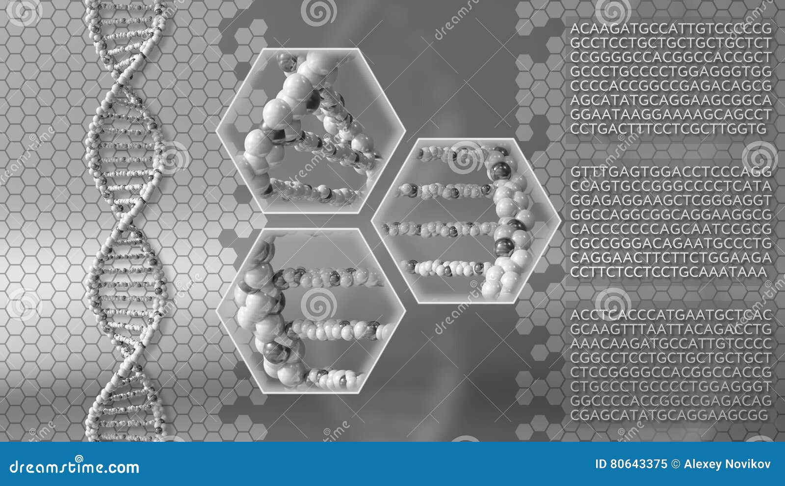 DNA Molecules Gray Background. Genetic Research, Modern Medicine or ...