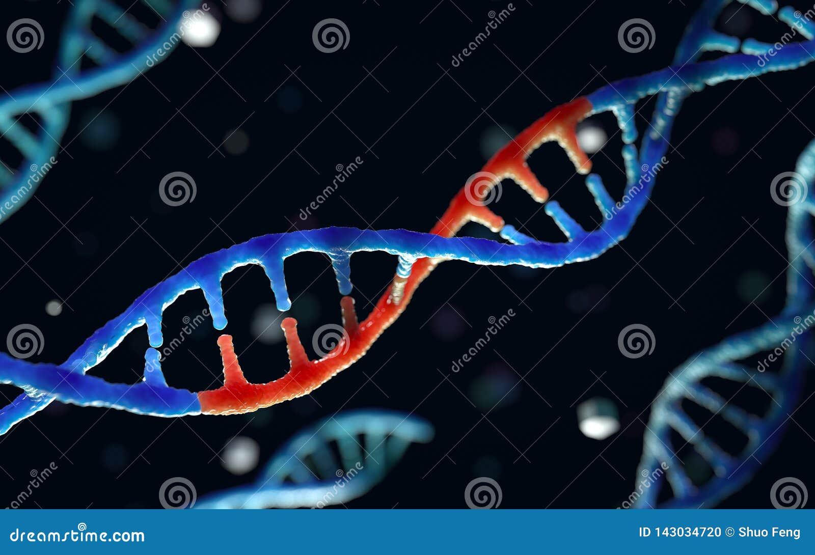DNA Molecules, Structure of the Genetic Code, 3d Rendering,conceptual ...