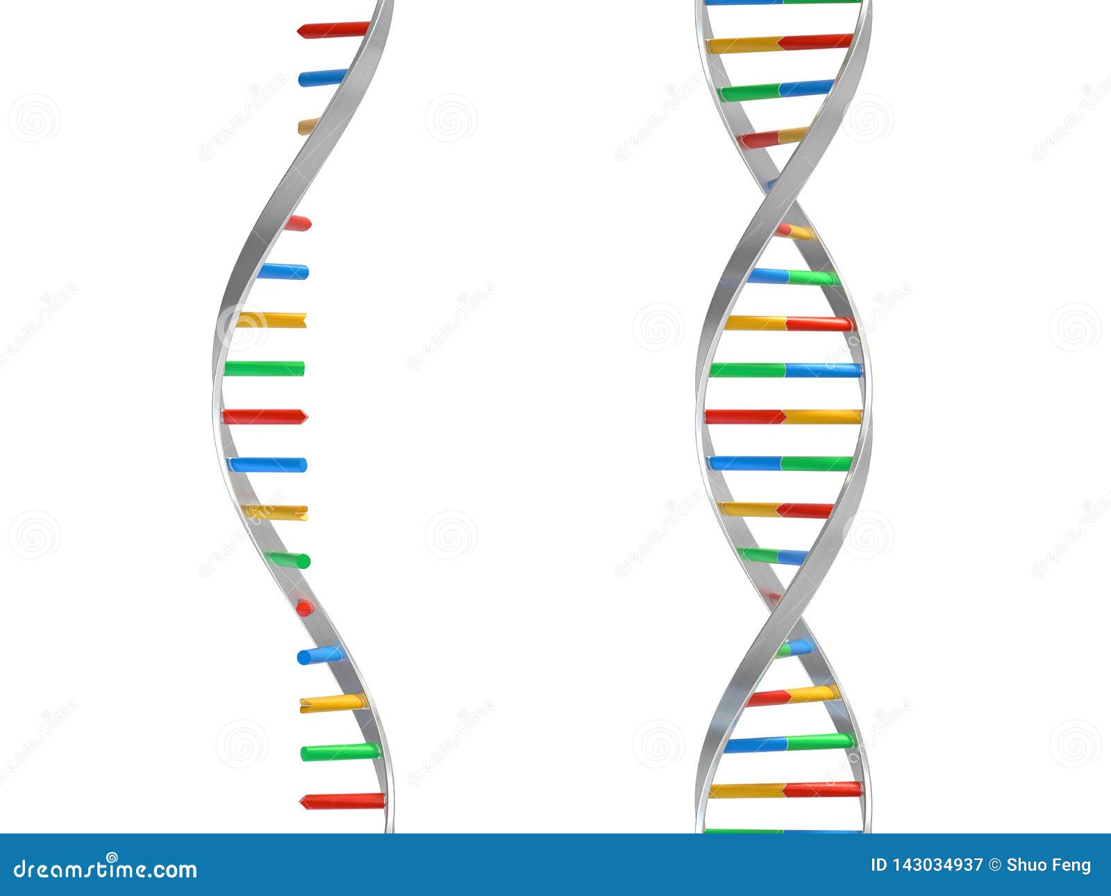 DNA Molecules, Structure of the Genetic Code, 3d Rendering,conceptual ...