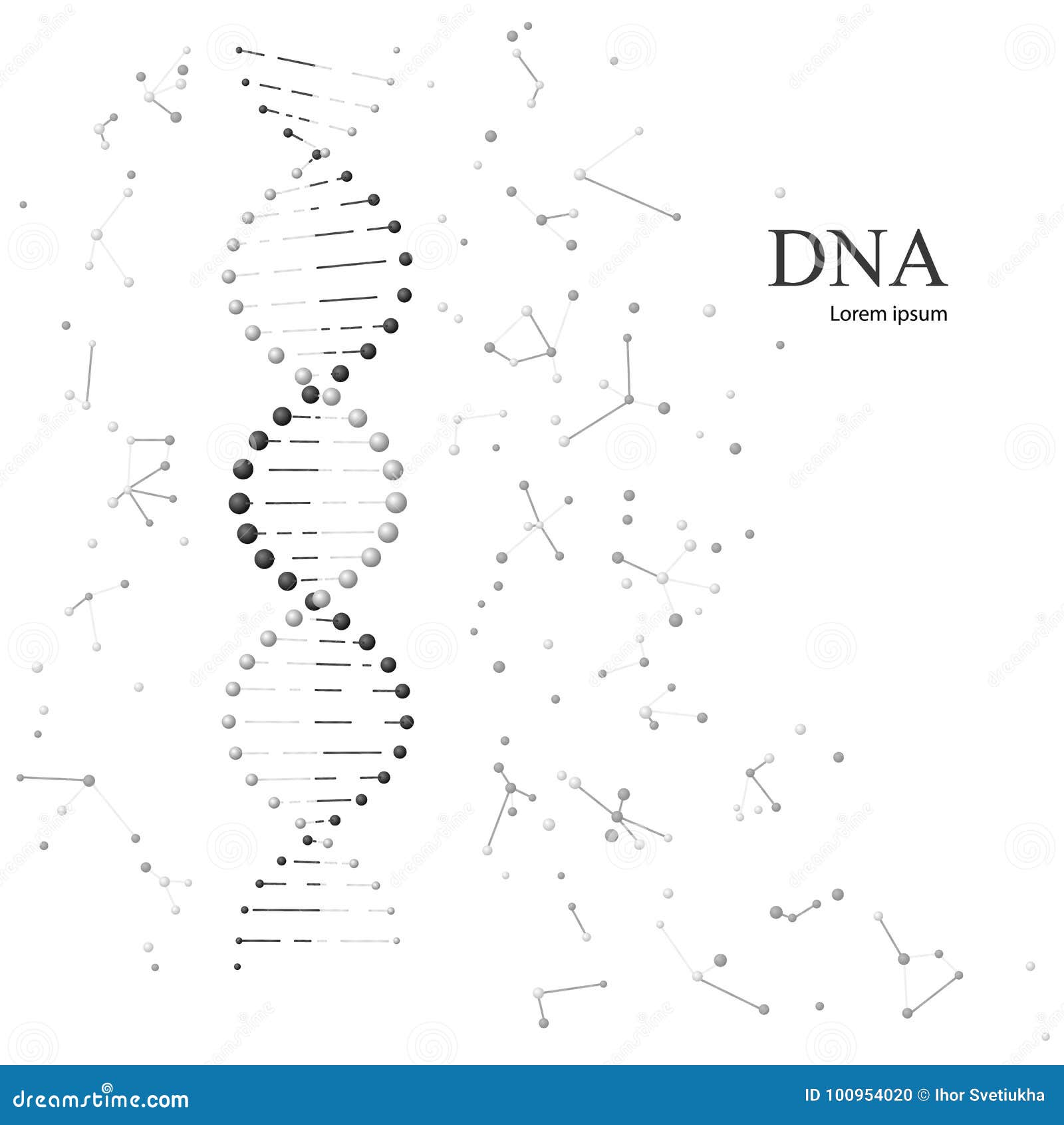 DNA Molecules. Vector Illustration Isolated On White | CartoonDealer ...