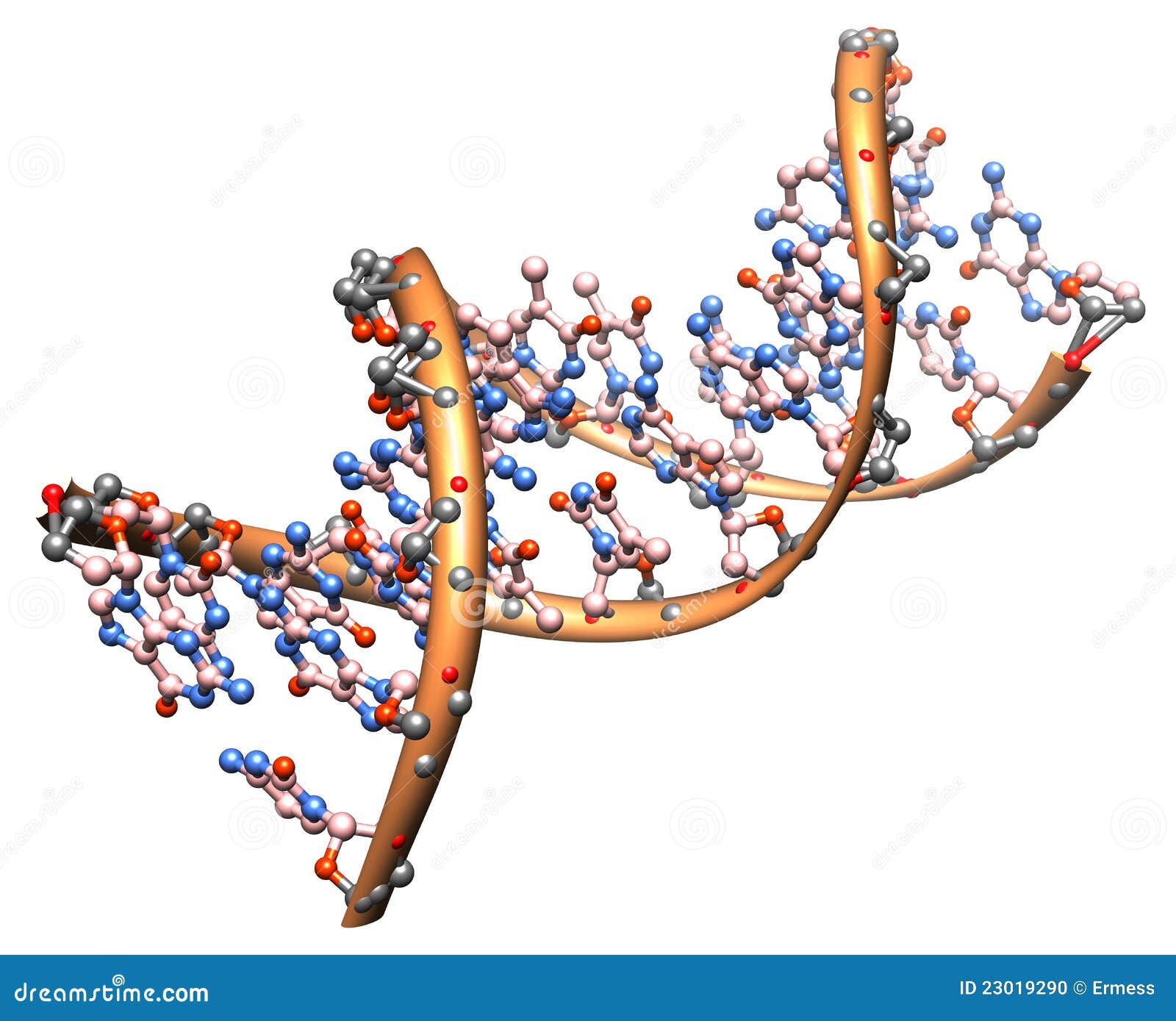 Dna-molekyl stock illustrationer. Illustration av cell - 23019290