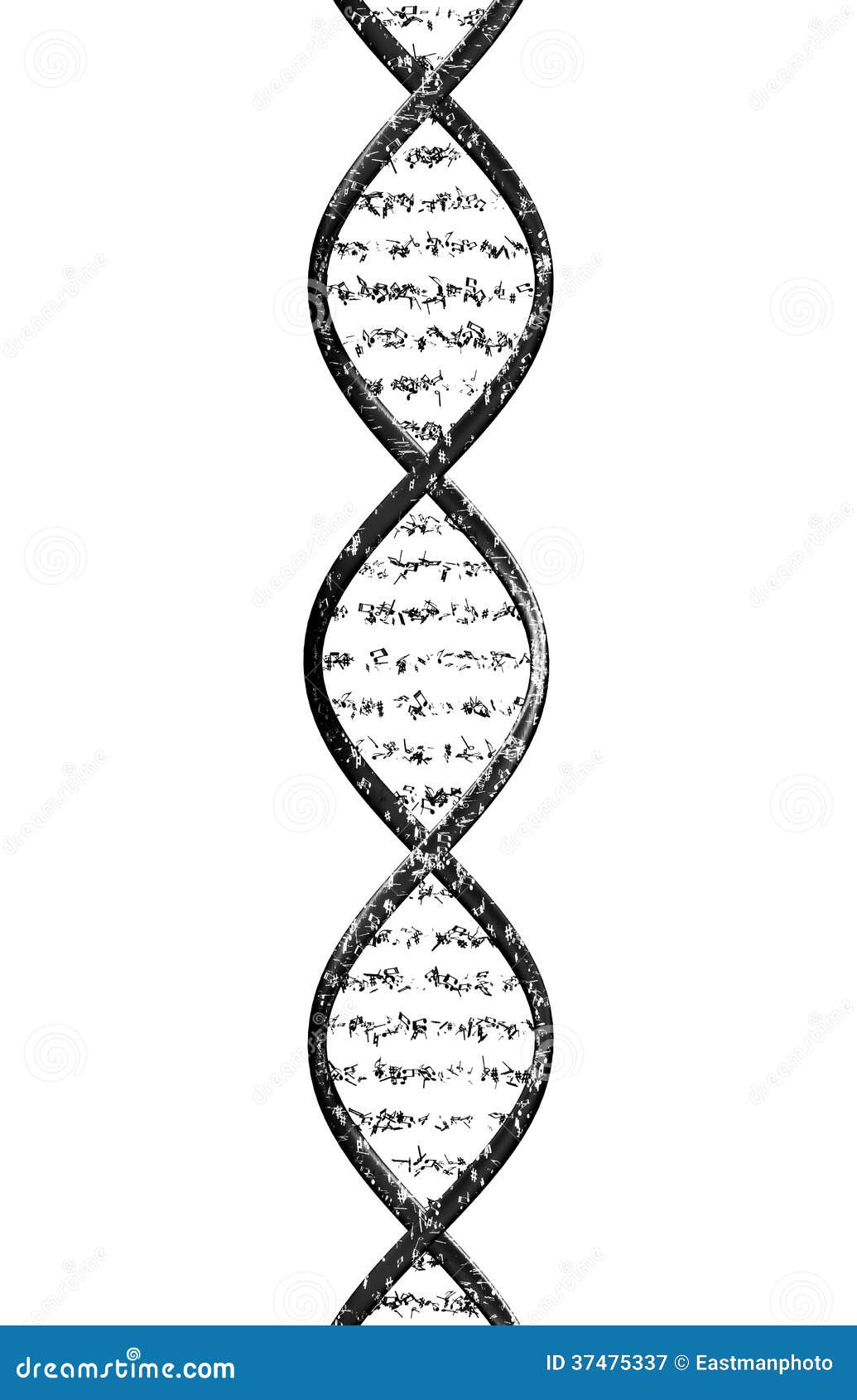 DNA musical stock de ilustración. Ilustración de blanco - 37475337