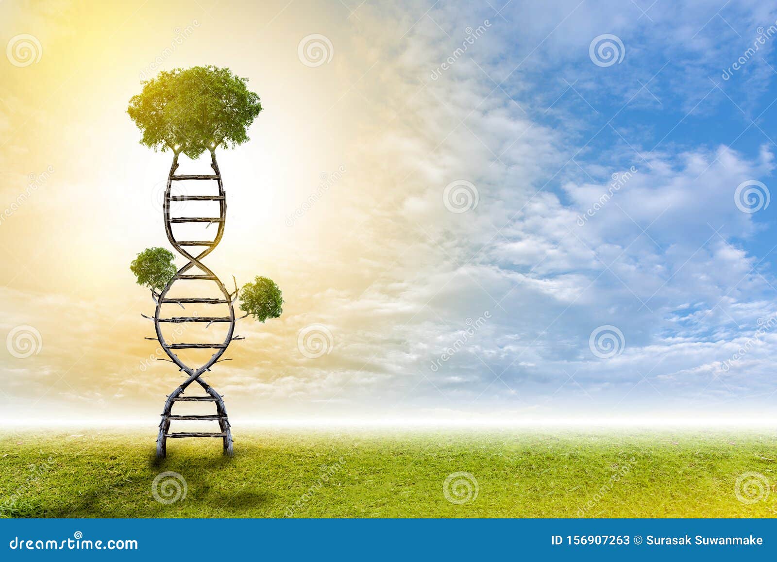 DNA is a Natural Tree Background Style Stock Image - Image of blue ...