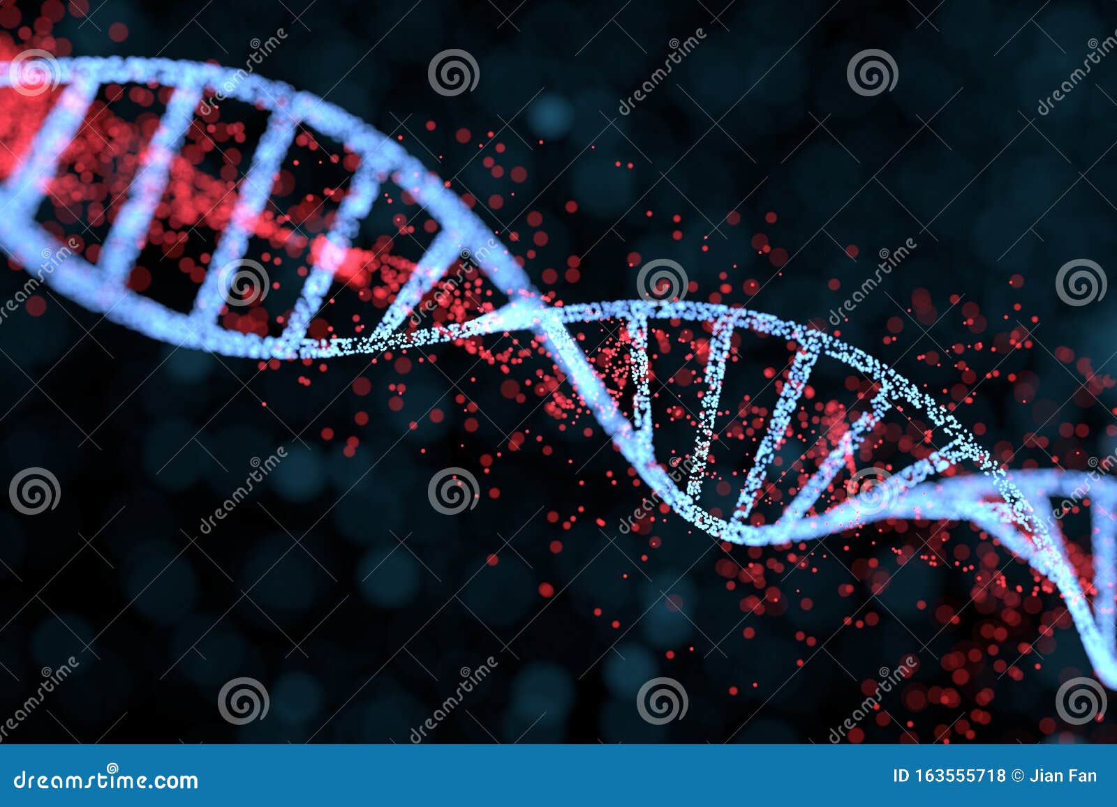 Biology, DNA Helix, DNA Replication, Next Generation Question Template ...