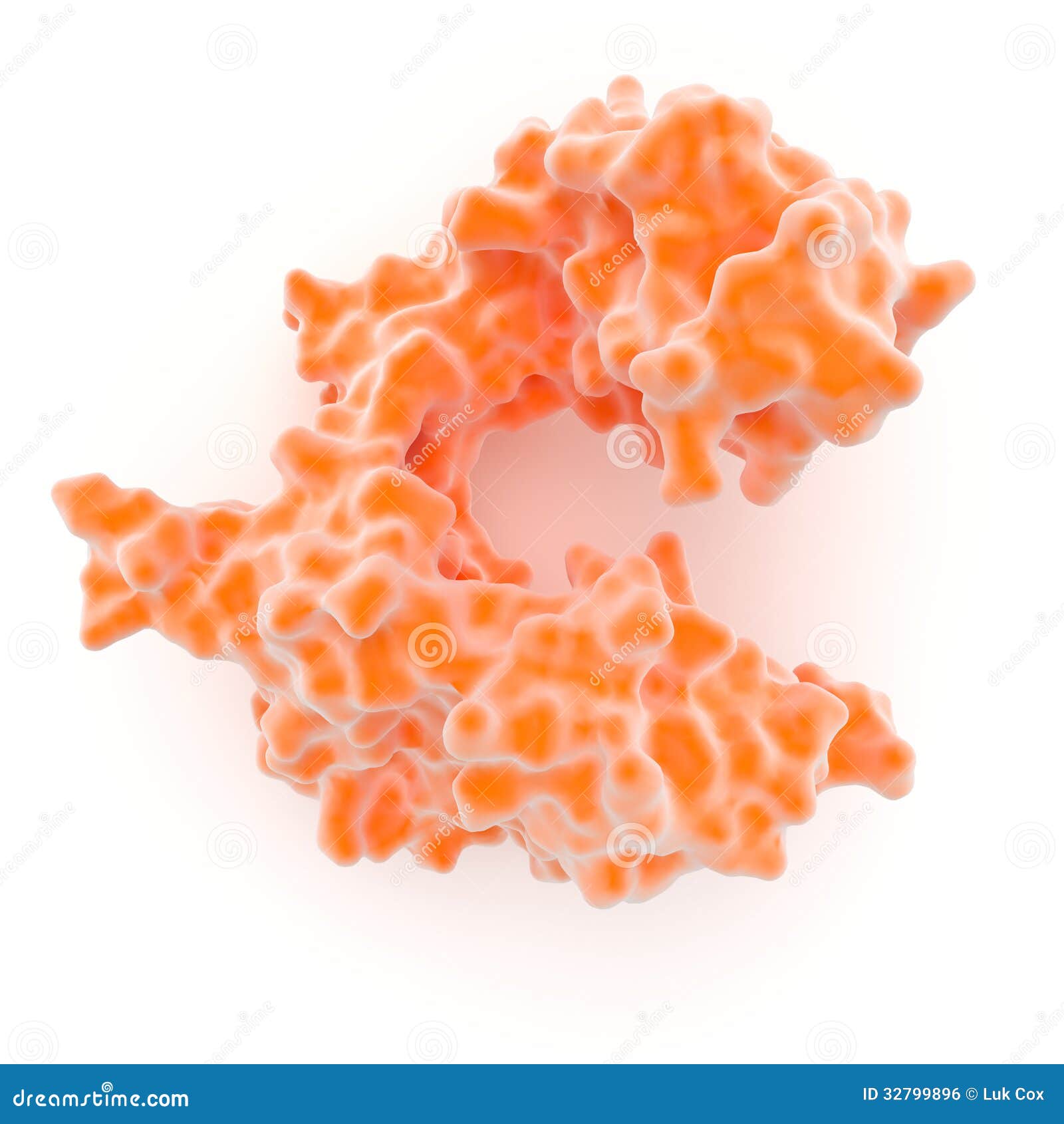 DNA Polymerase Enzyme Syntheses Labeled Educational Vector Illustration ...