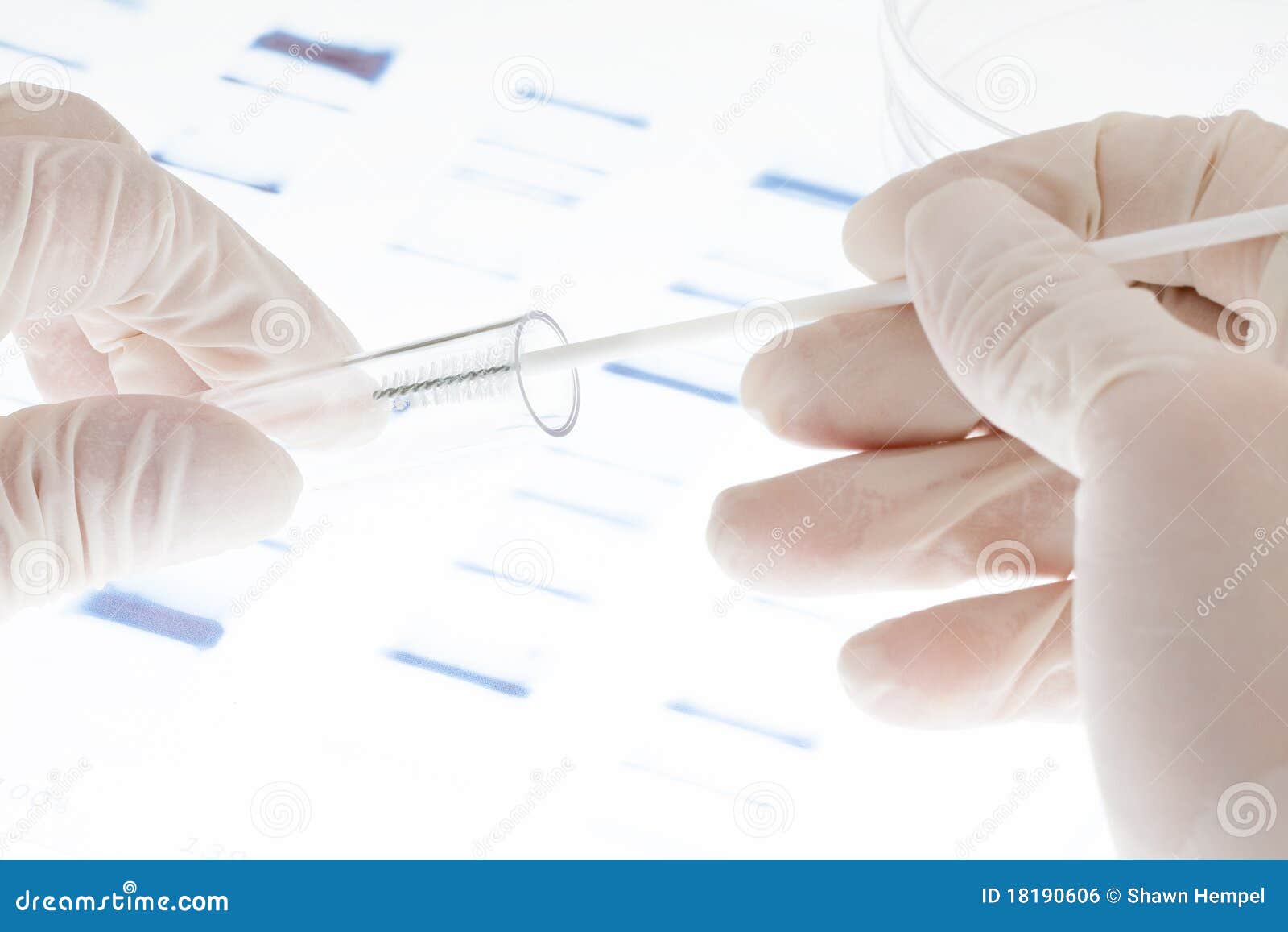 DNA-Probe stockfoto. Bild von wissenschaftler, apotheke - 18190606