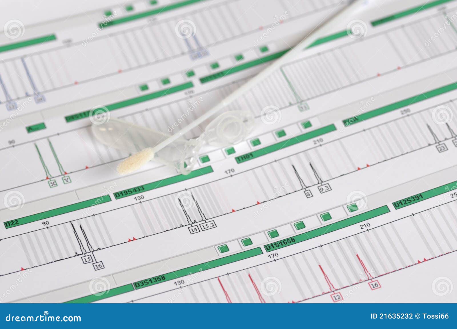 DNA-Profil - Genetischer Fingerabdruck Stockfoto - Bild von genotypus ...