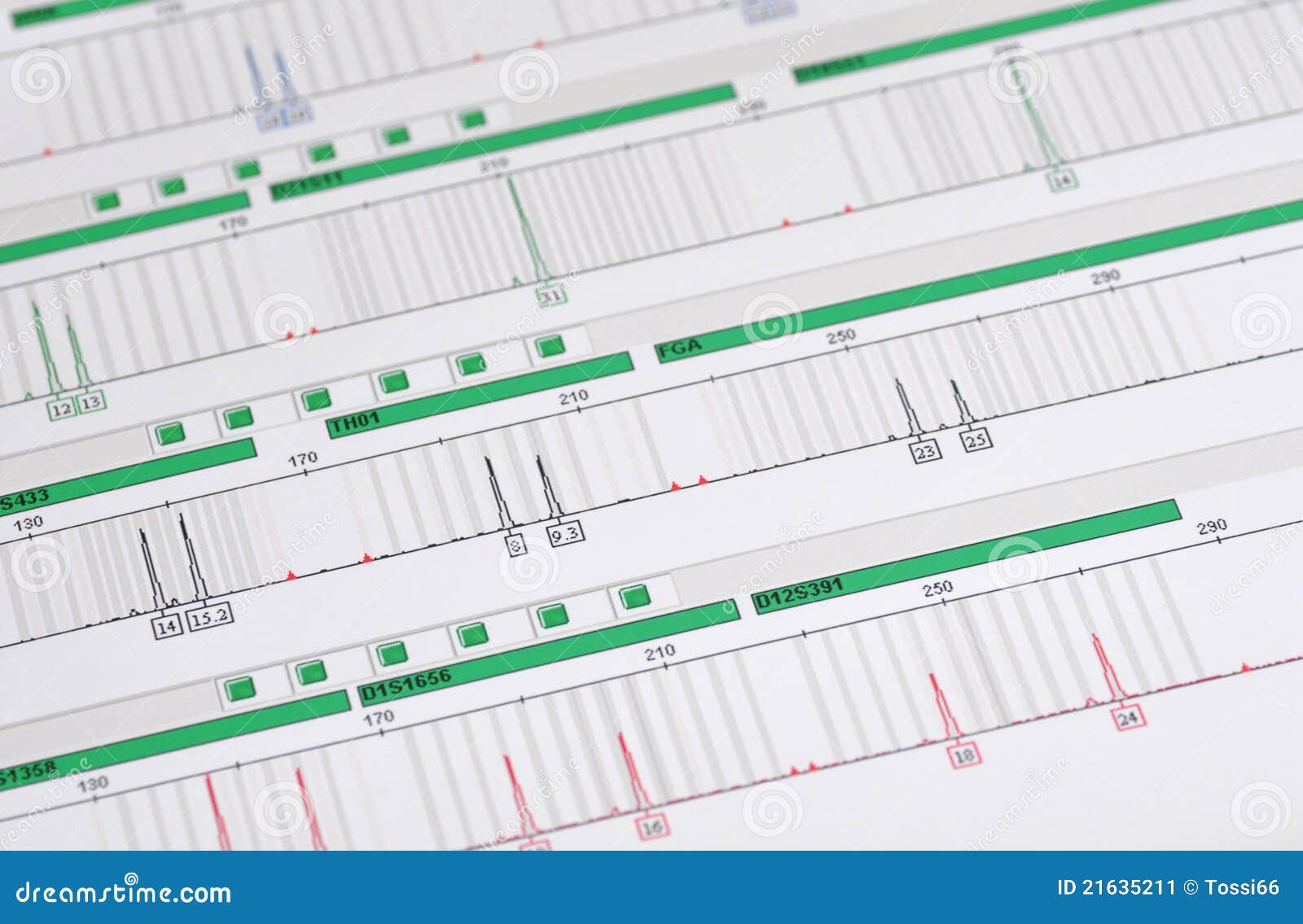 DNA Profile - Genetic Fingerprint Stock Image - Image of biologist ...