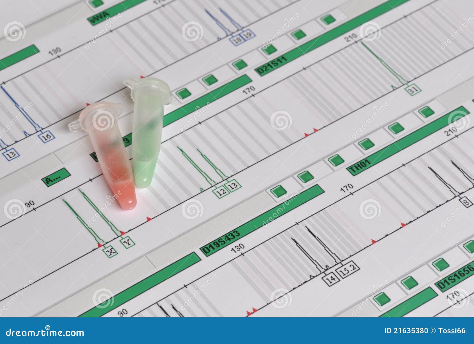 DNA Profile - Genetic Fingerprint Stock Photo - Image of detection ...