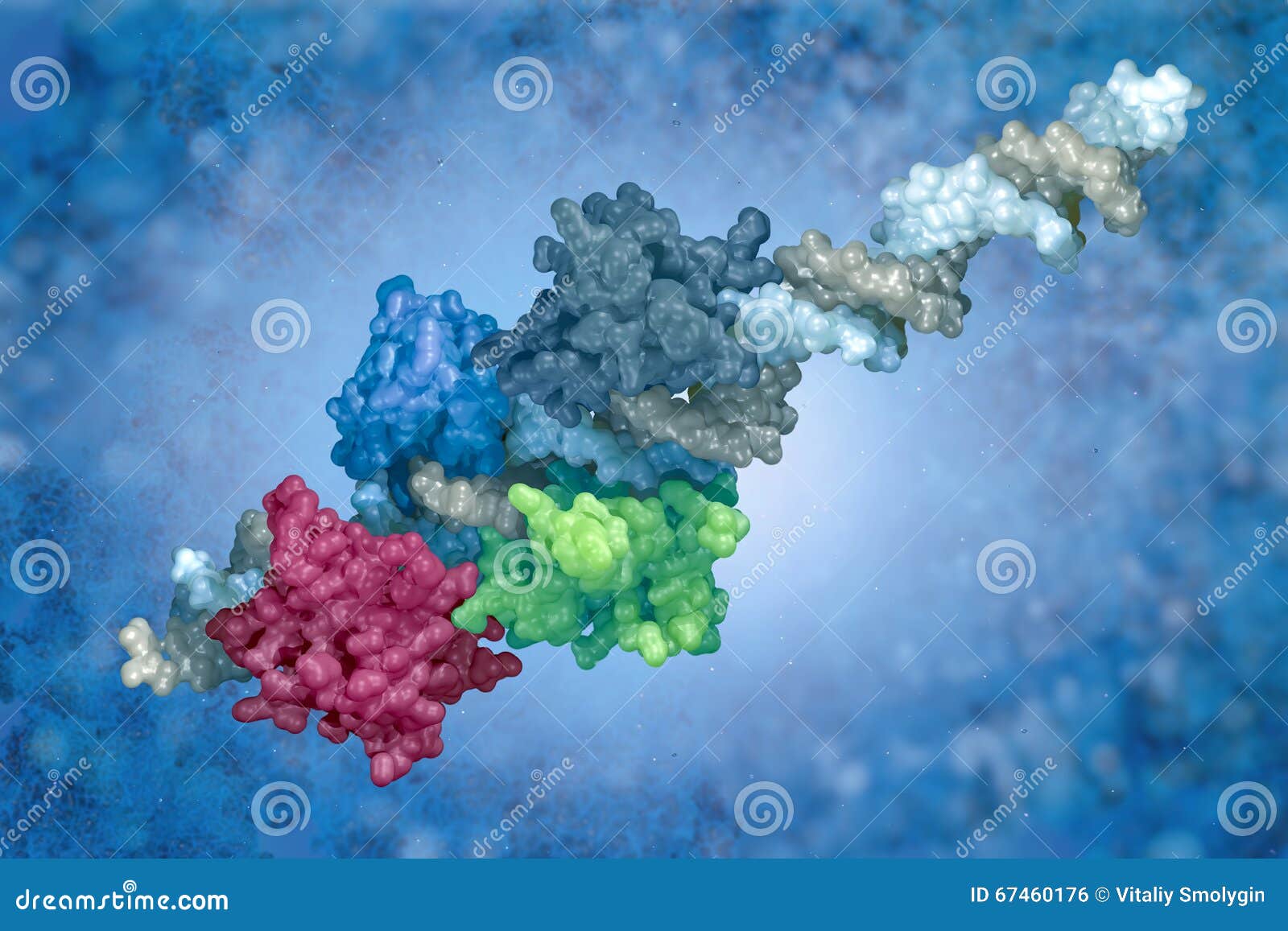 Protein Complex Like A Puzzle - Pictured As Word Protein On A Puzzle ...