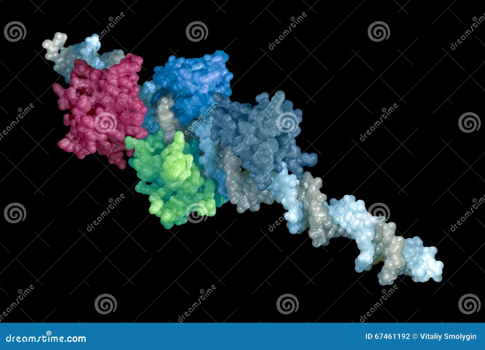 Protein Complex Like A Puzzle - Pictured As Word Protein On A Puzzle ...
