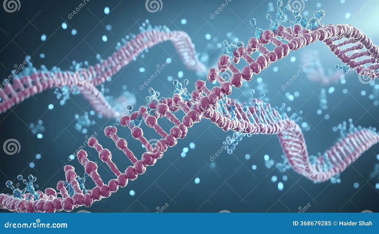 Multiple Dna Replication Origins With Bidirectional Forks Stock Photo ...