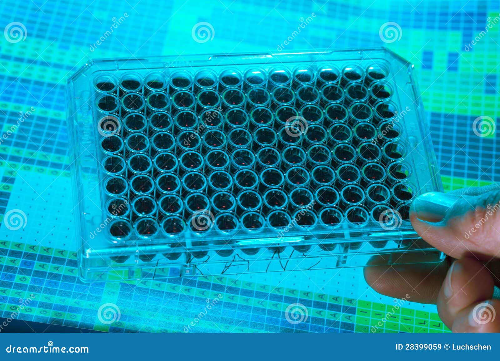 Dna research stock image. Image of scientific, hand, science - 28399059
