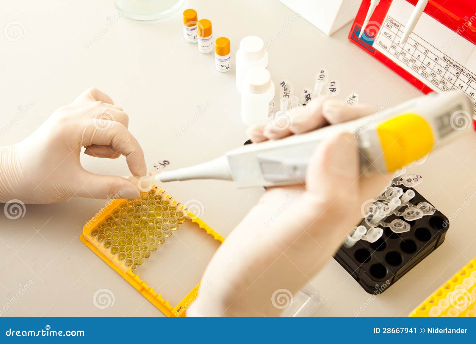 DNA research stock image. Image of pipette, research - 28667941