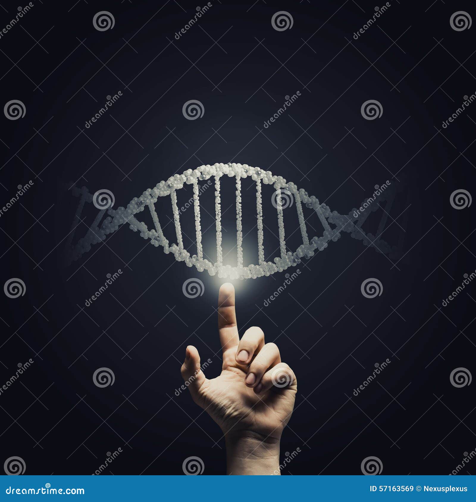 DNA research stock image. Image of hand, structure, medicine - 57163569