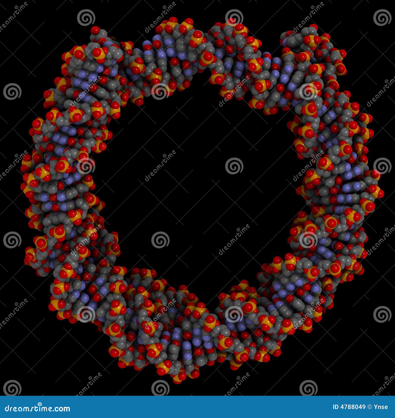 DNA-Ring stock abbildung. Illustration von festgelegt - 4788049