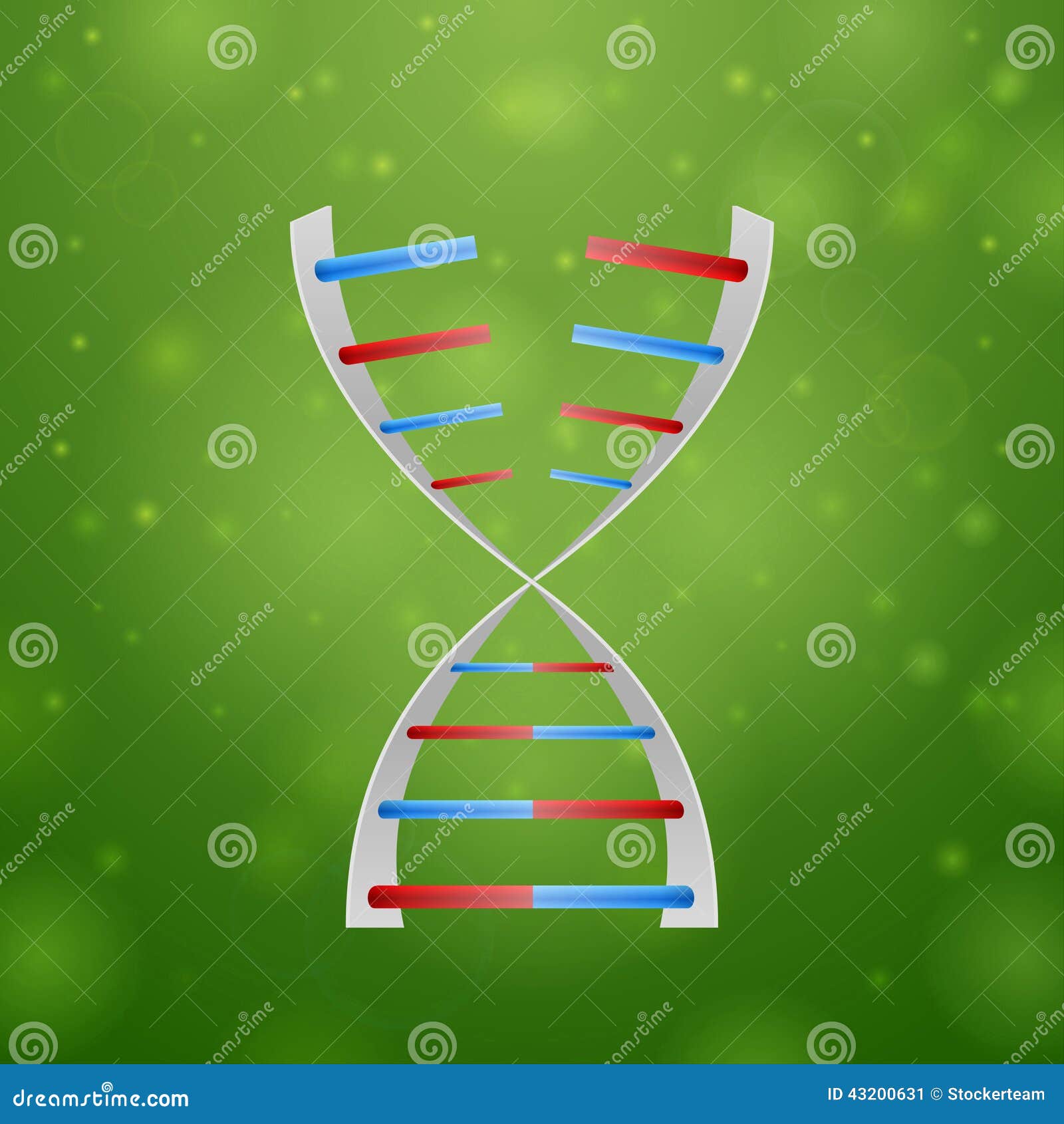 DNA and RNA stock vector. Illustration of brochure, connection - 43200631
