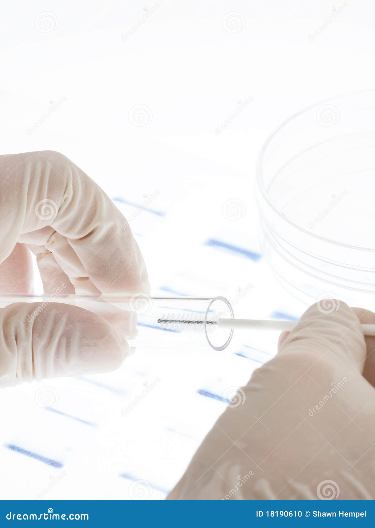 DNA sample stock photo. Image of hands, tube, investigation - 18190610