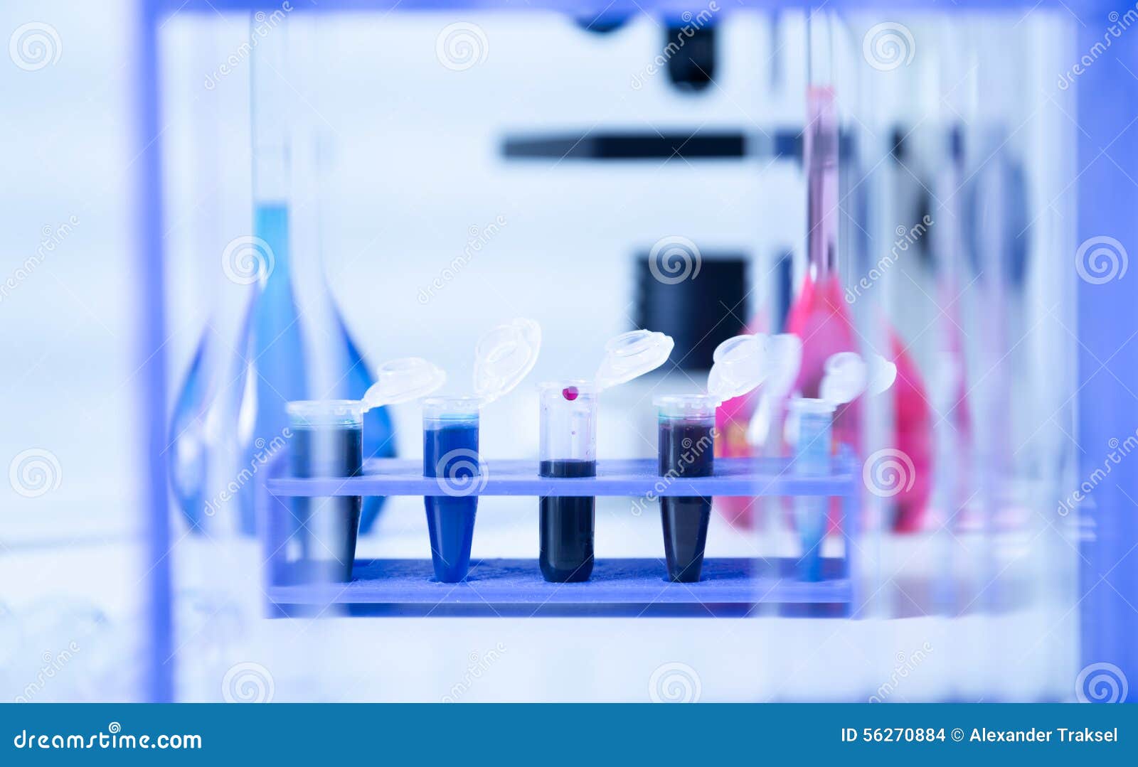 DNA Samples Are Loaded Plate For PCR Analysis. Stock Photo ...