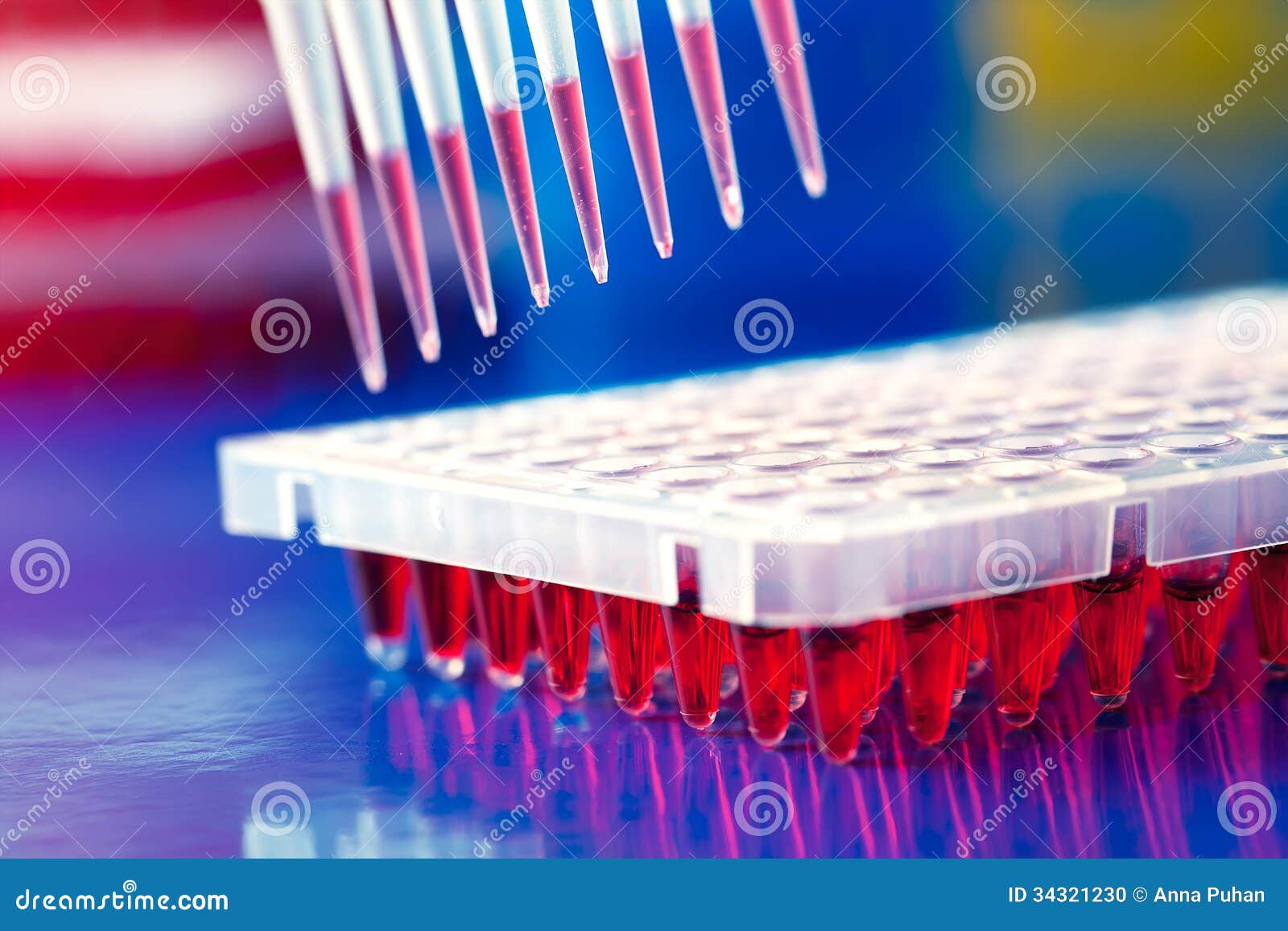 Pcr Well Plate On 96 Well Microplate With Biological Samples Royalty ...