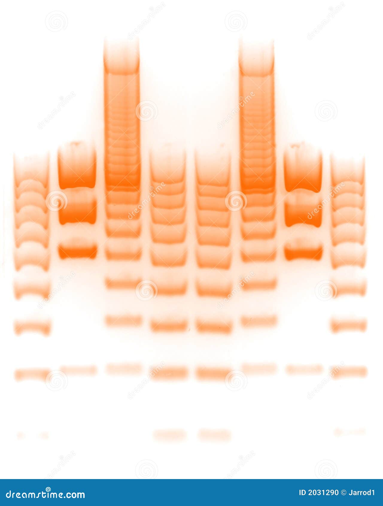 DNA separation stock photo. Image of medicine, health - 2031290