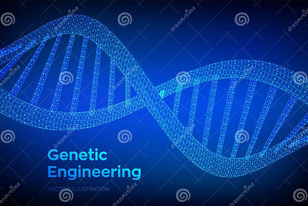 DNA Sequence. Concept Binary Code Human Genome. Wireframe Digital DNA ...