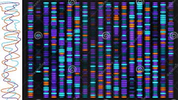 Dna Sequence Map Vector Bg. Genetic Data Visualization with Chart for ...