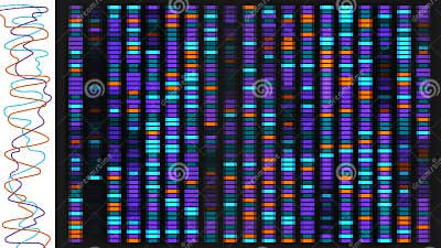 Dna Sequence Map Vector Bg. Genetic Data Visualization with Chart for ...