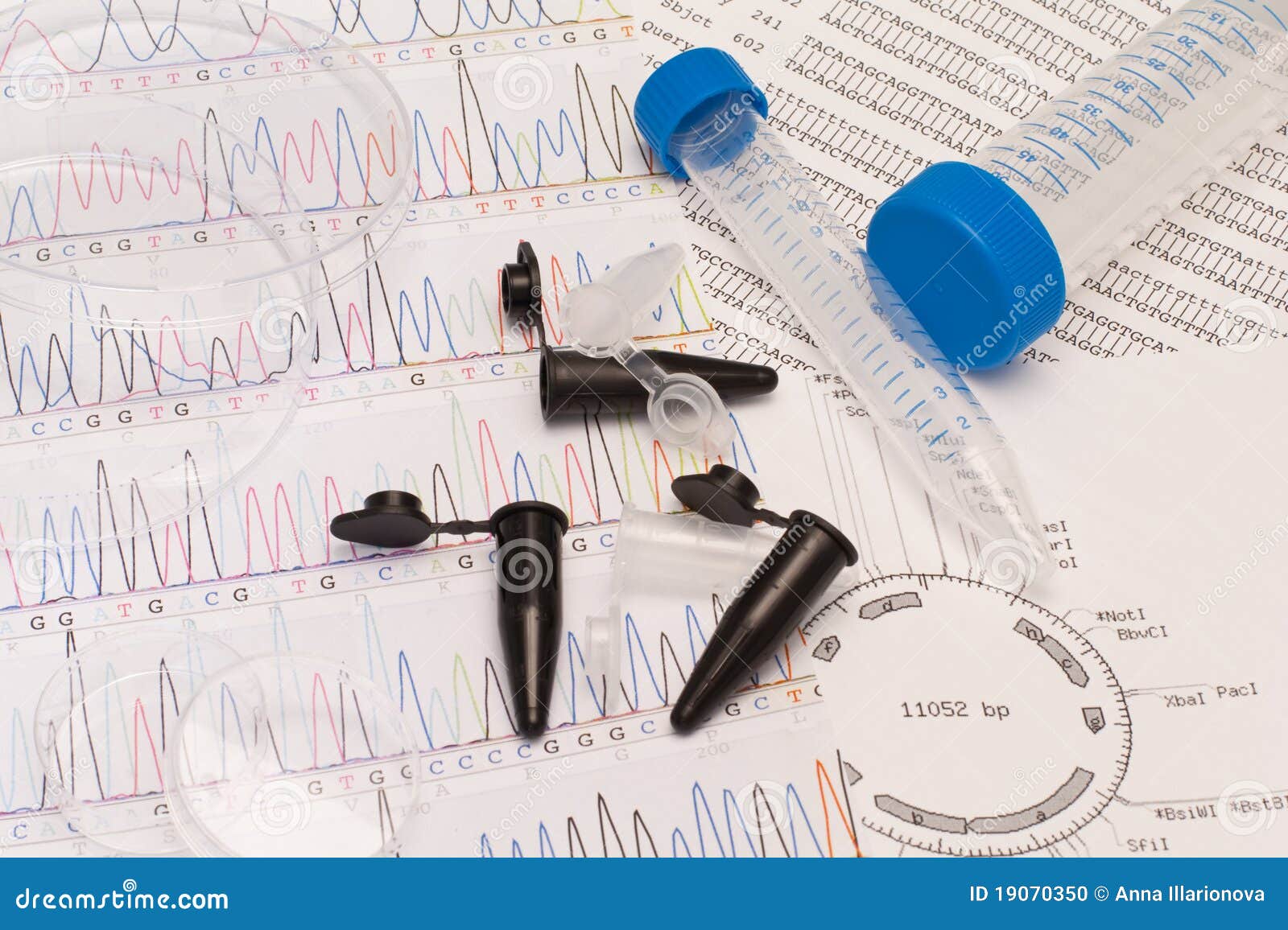 DNA Sequence, Petri Dishes and Tubes Stock Photo - Image of cloning ...