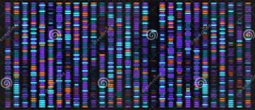 Dna Sequencing Vector Map. Genetic Chromosome Data Visualization with ...
