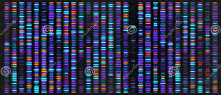 Dna Sequencing Vector Map. Genetic Chromosome Data Visualization with ...