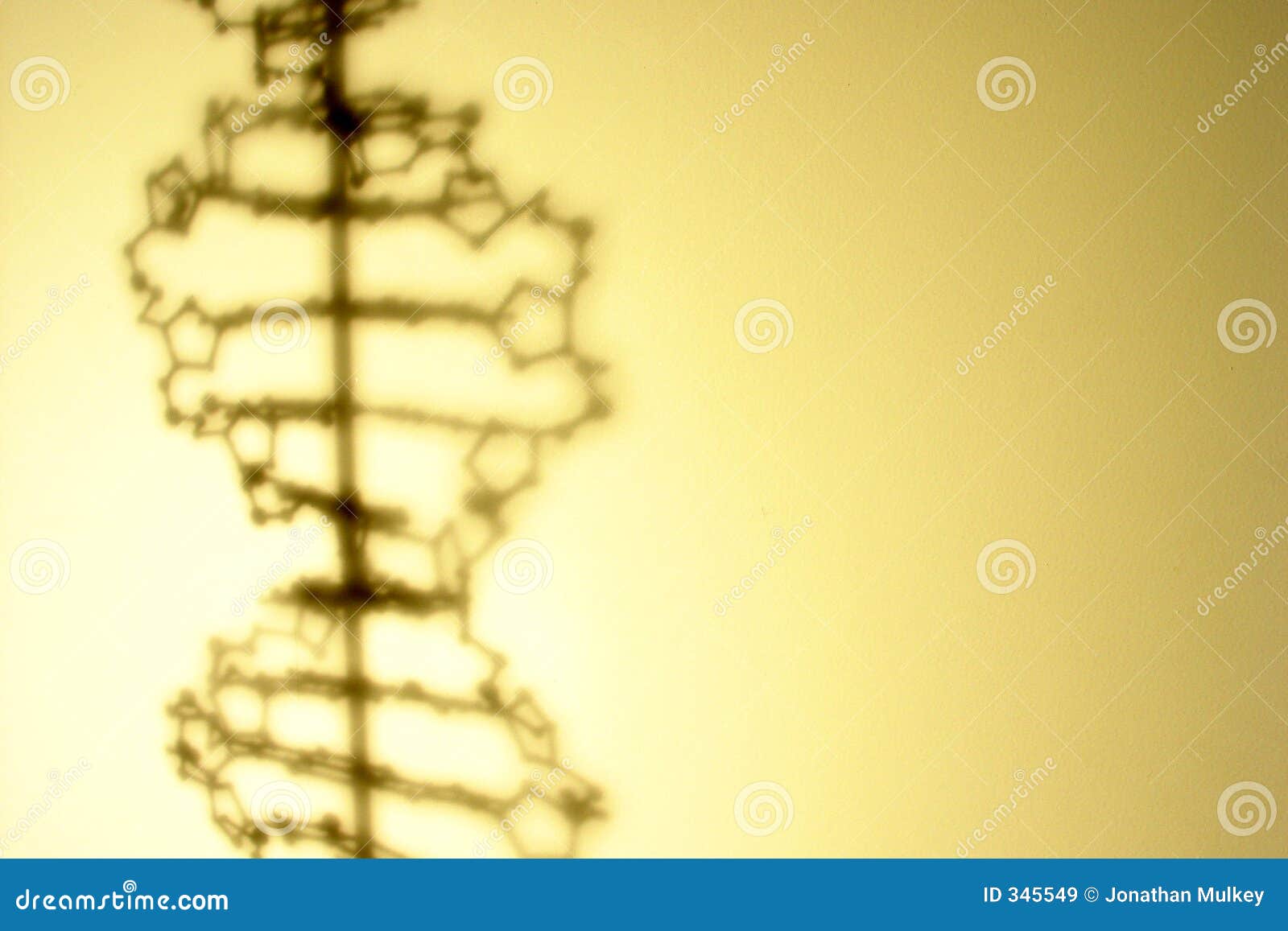 DNA shadow stock image. Image of shadow, blurred, spiral - 345549