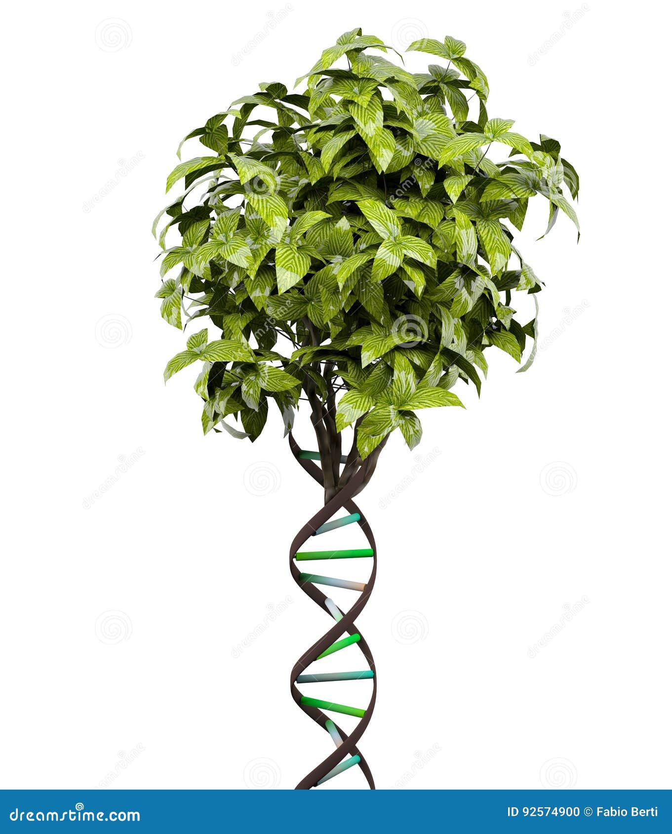 Dna shaped tree trunk stock illustration. Illustration of engineering ...