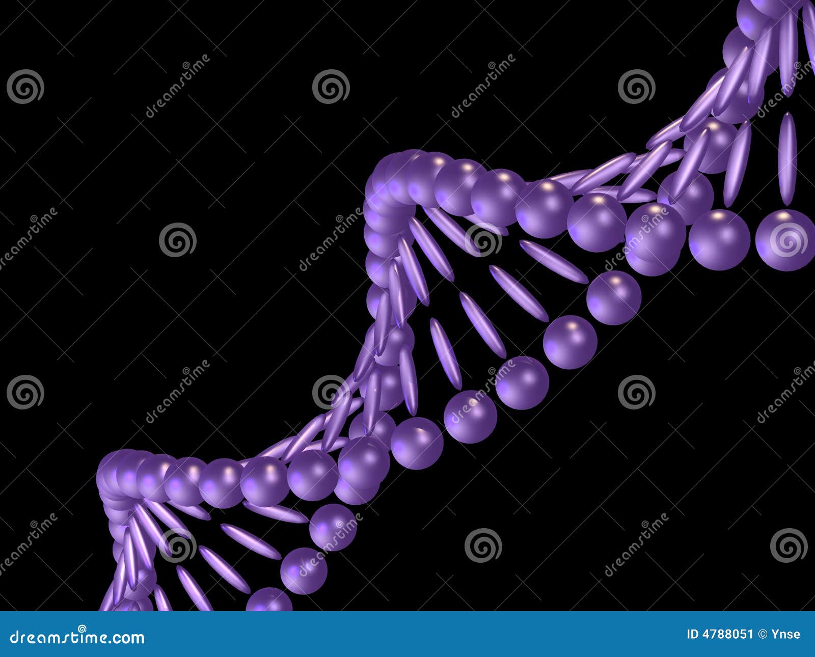 DNA simplified stock illustration. Illustration of graphic - 4788051