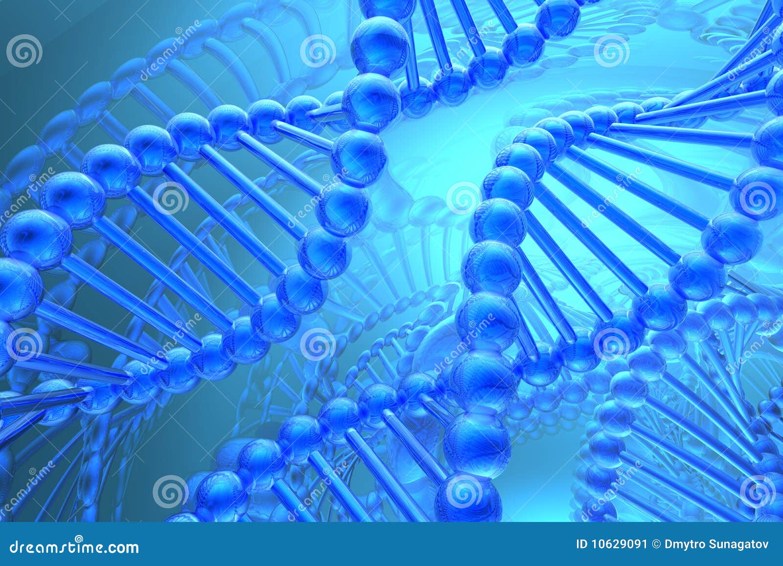 Dna spiral stock illustration. Illustration of body, cell - 10629091