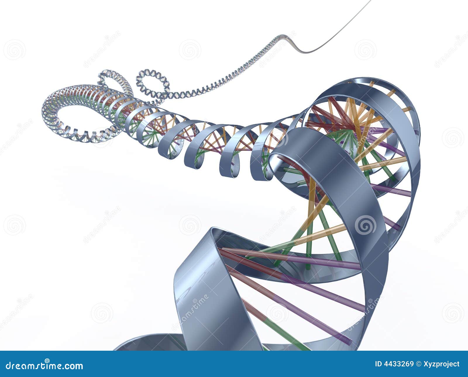 Dna Spiral Royalty Free Stock Images - Image: 4433269