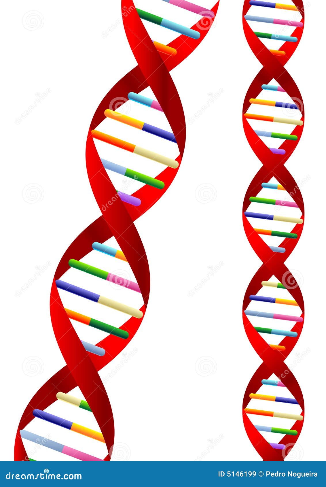 Dna-spiral vektor illustrationer. Illustration av forskning - 5146199