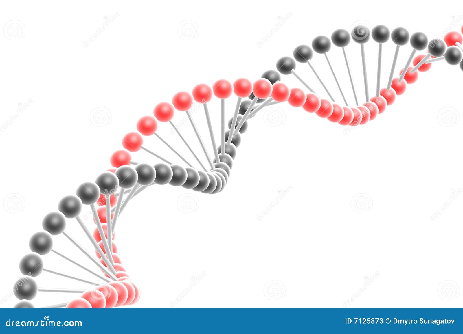 Dna spiral stock illustration. Illustration of individuality - 7125873