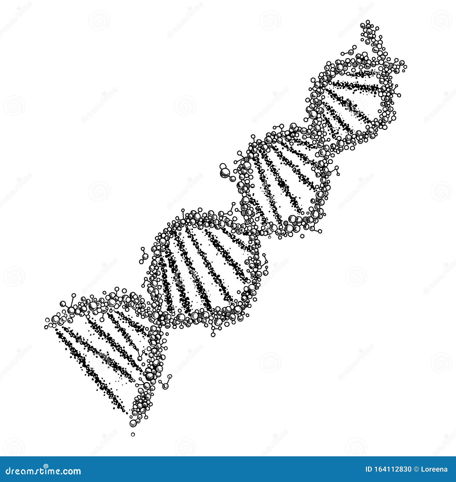 Spiral DNA - Hand Drawn Genome Sequencing Illustration. Human Dna ...
