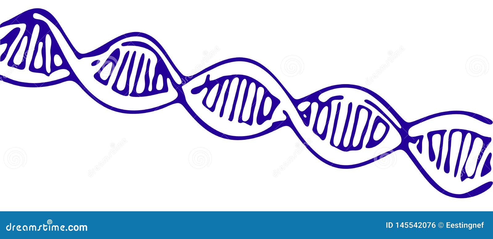 DNA Spiral. Isolated on White. Vector Sketch Illustration Stock Vector ...