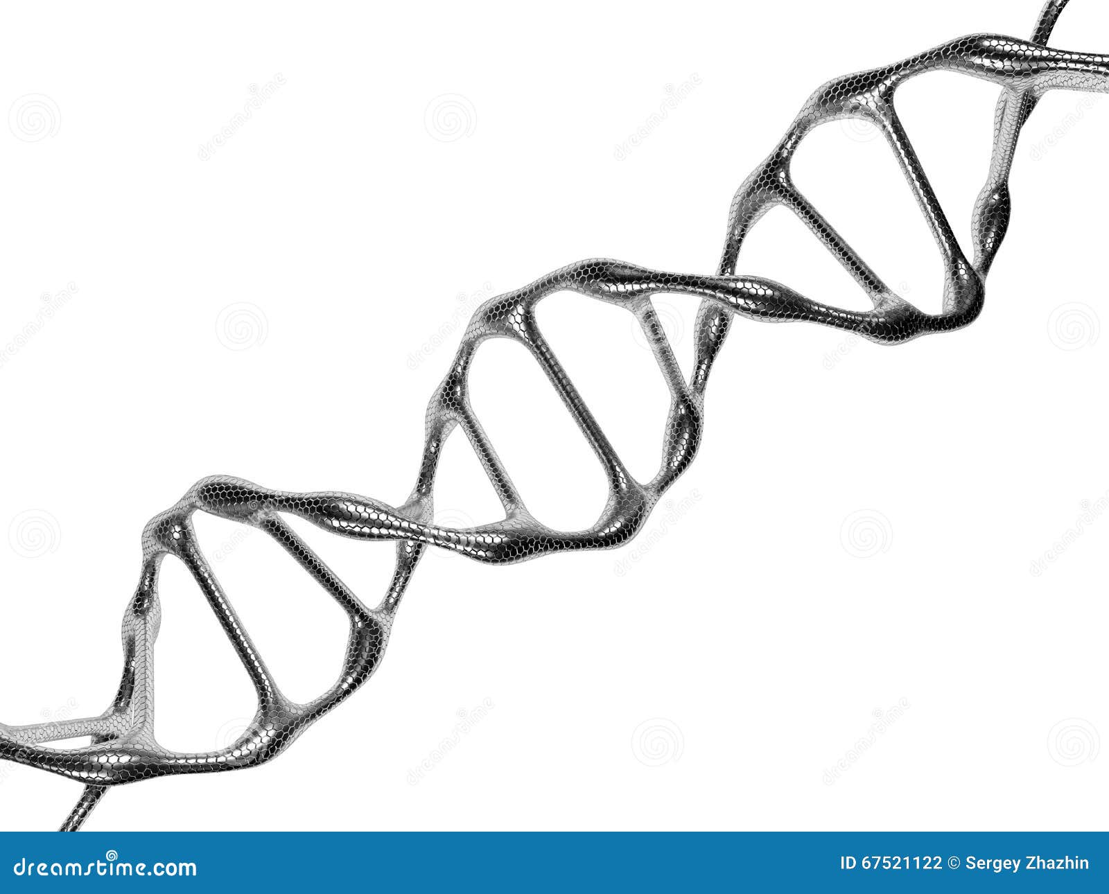 DNA Spiral on a White Background Stock Illustration - Illustration of ...