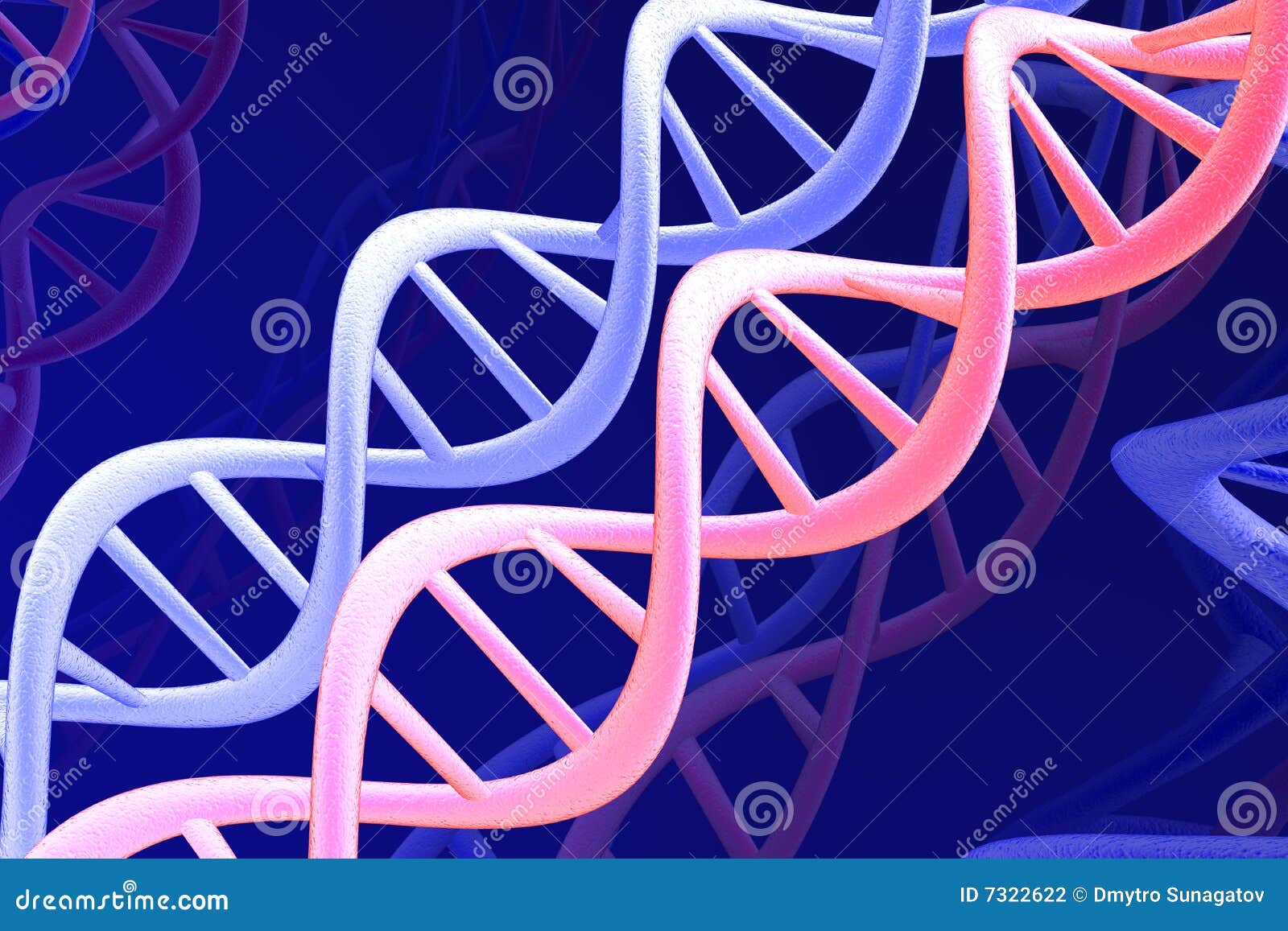Dna spirals stock illustration. Illustration of health - 7322622