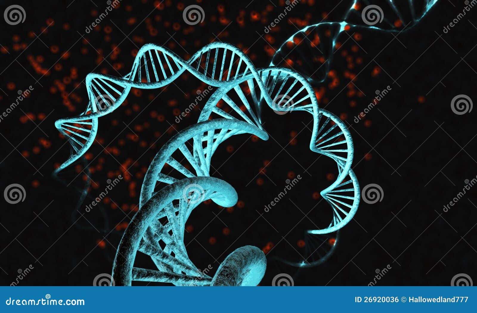 DNA strand - 4 stock illustration. Illustration of isolated - 26920036