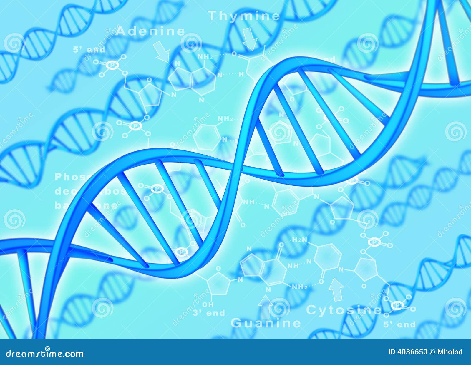 DNA Strand stock illustration. Illustration of molecule - 4036650