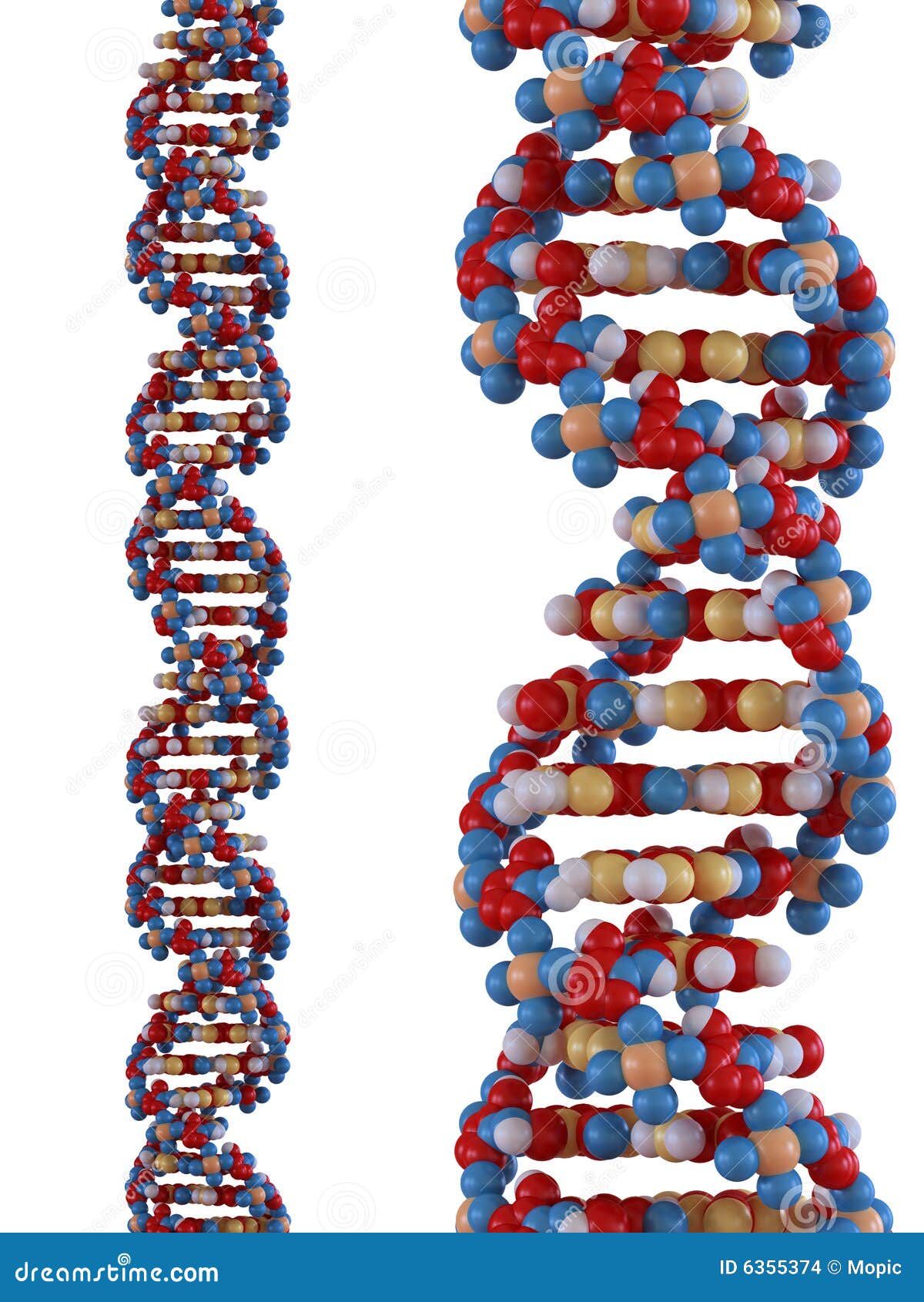 DNA strand stock illustration. Illustration of biology - 6355374