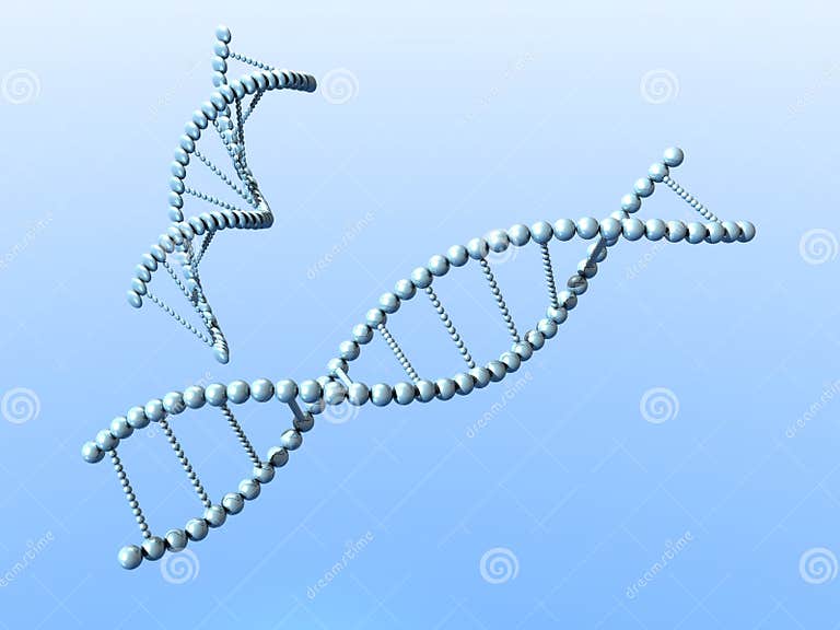 DNA Strand Blue and Gray stock illustration. Illustration of abstract ...